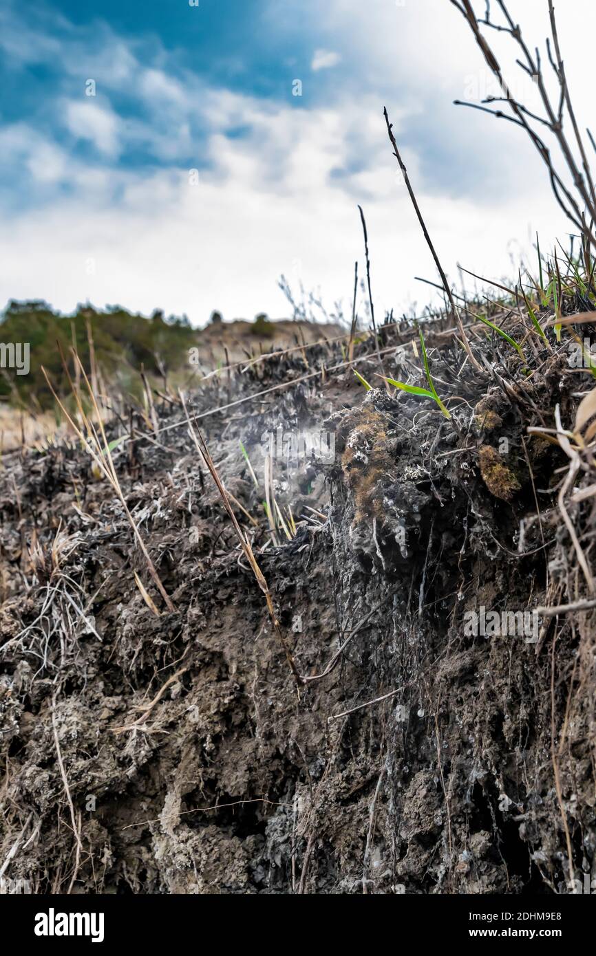 Faint traces of smoke from a coal seam fire burning underground ...