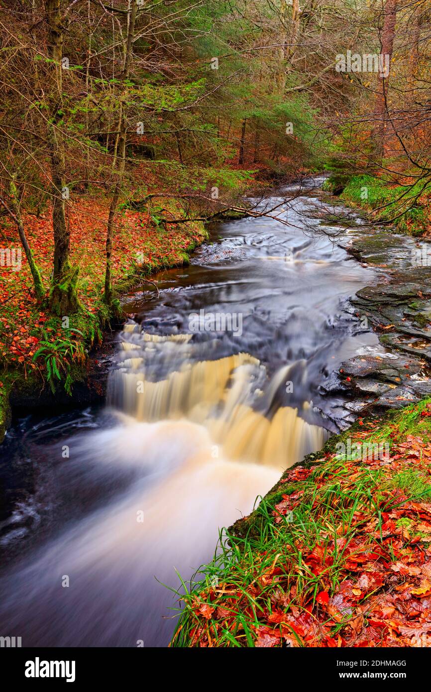 Flowing leaves hi-res stock photography and images - Alamy
