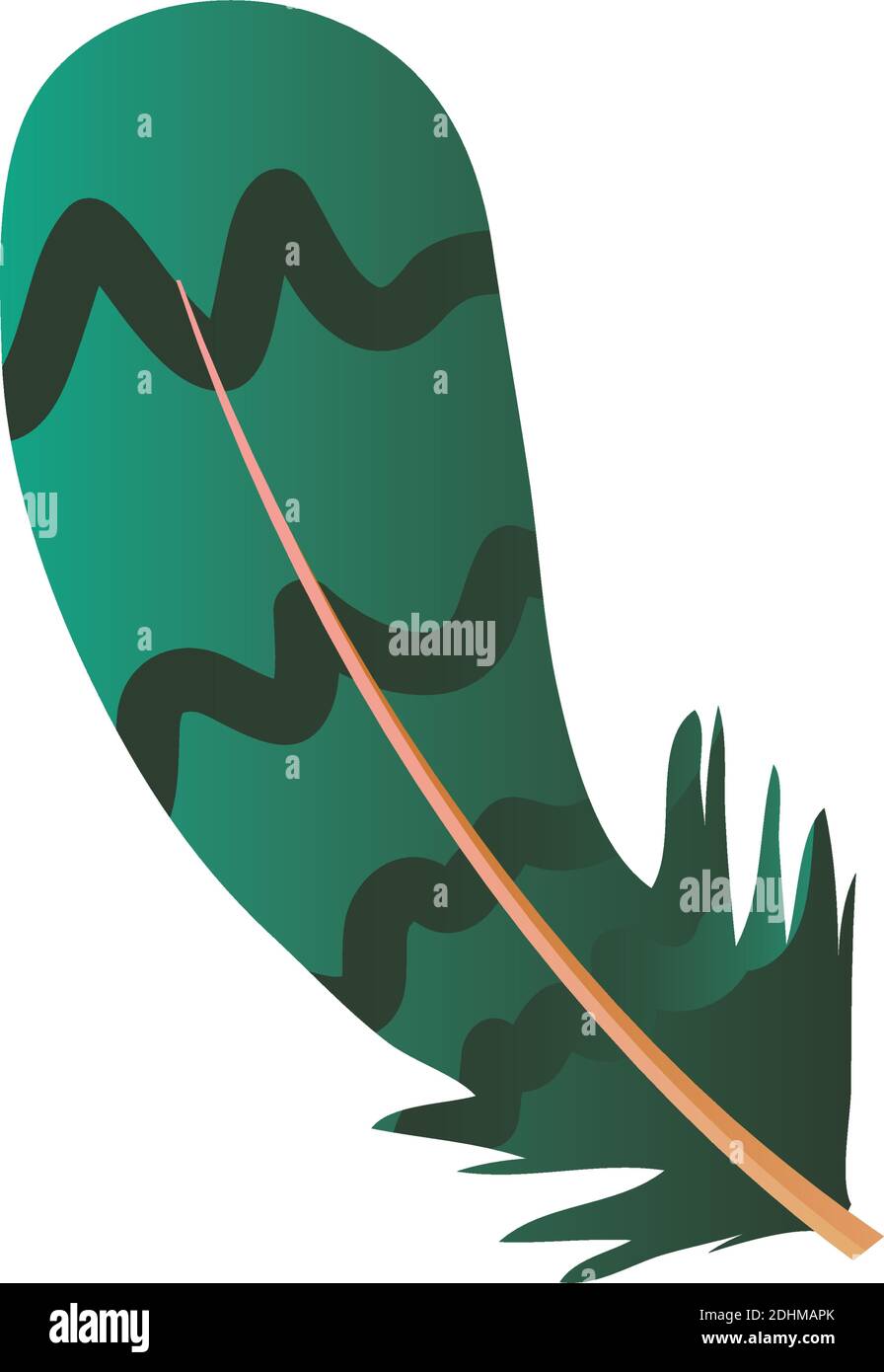 green feather with decorative lines icon vector illustration Stock ...