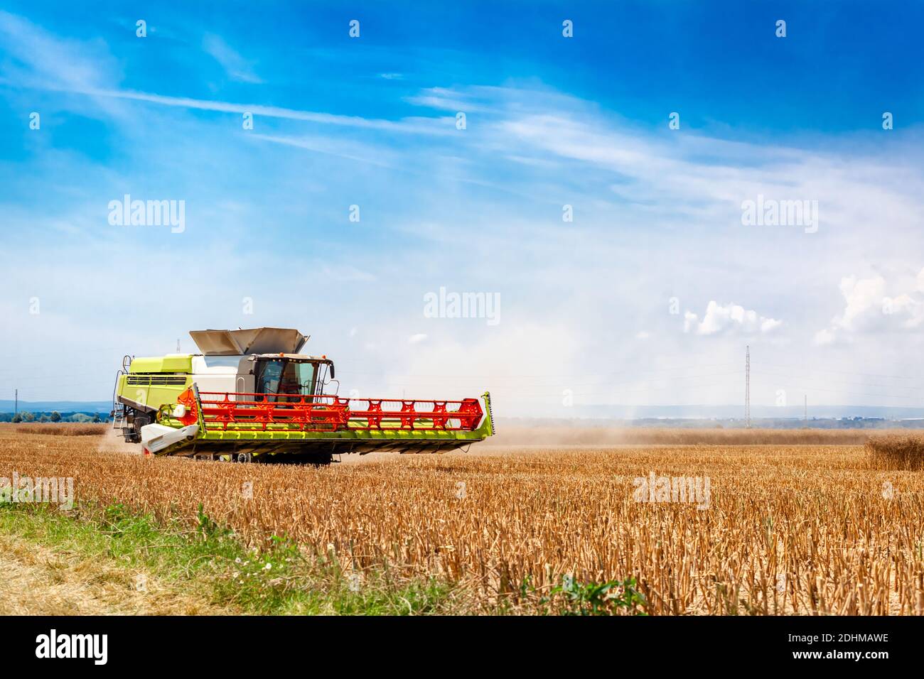 harvested, a combine harvester mows and processes grain in a field ...