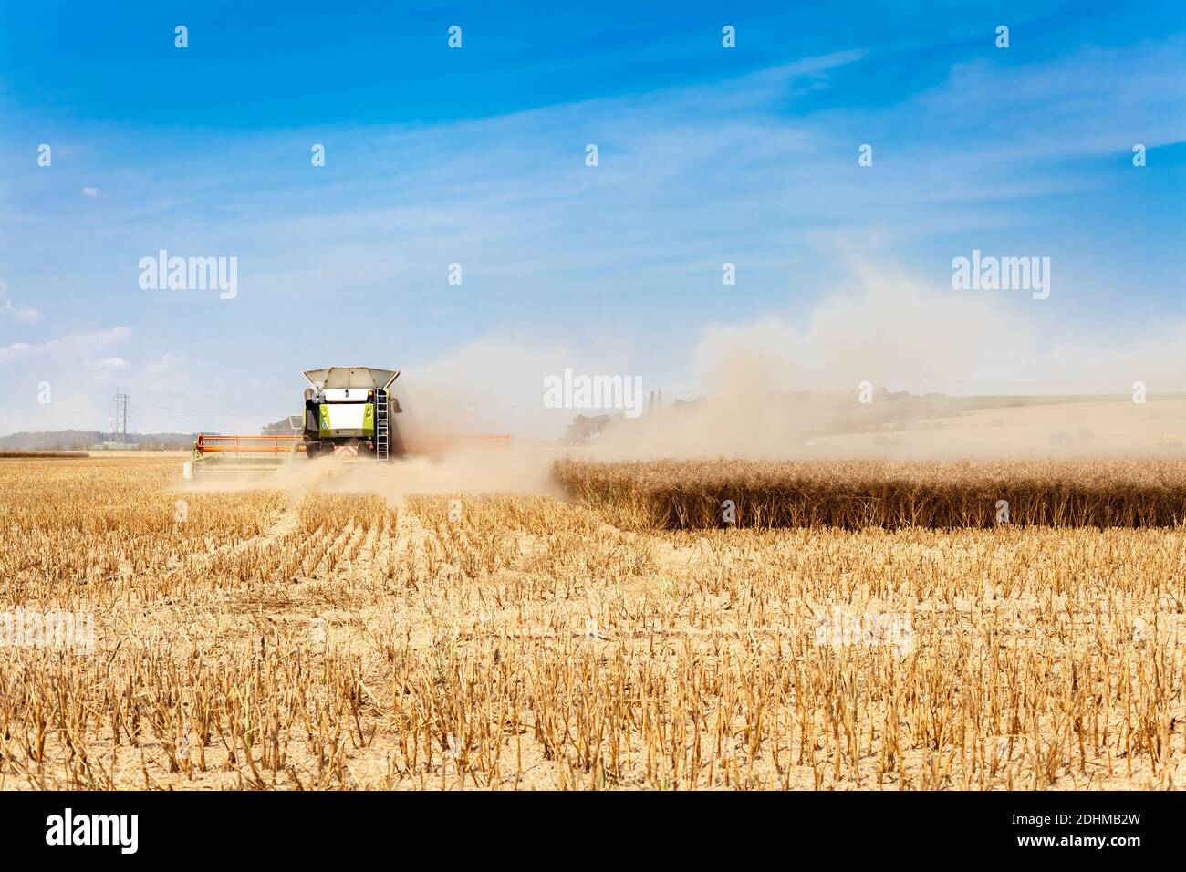 Separating grain hi-res stock photography and images - Alamy