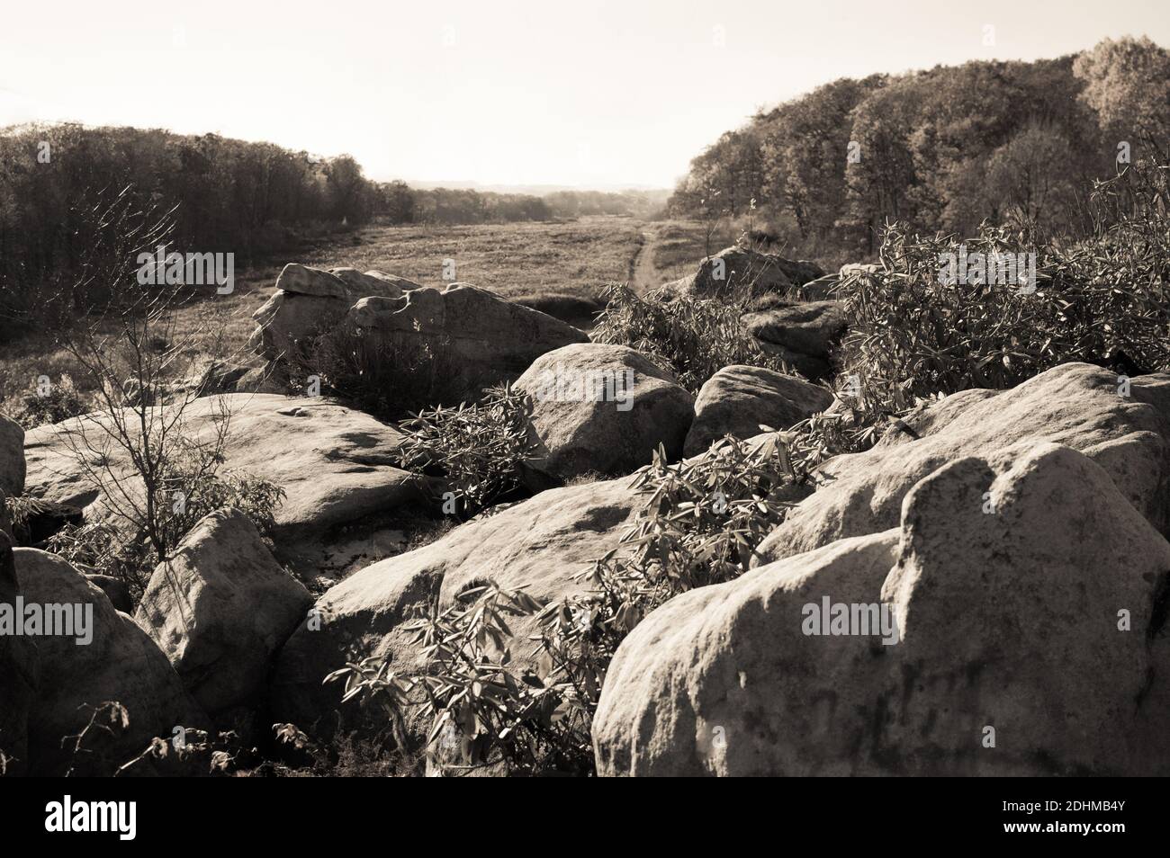 A pile of boulders in a utility corridor on the Allegheny Plateau Stock ...