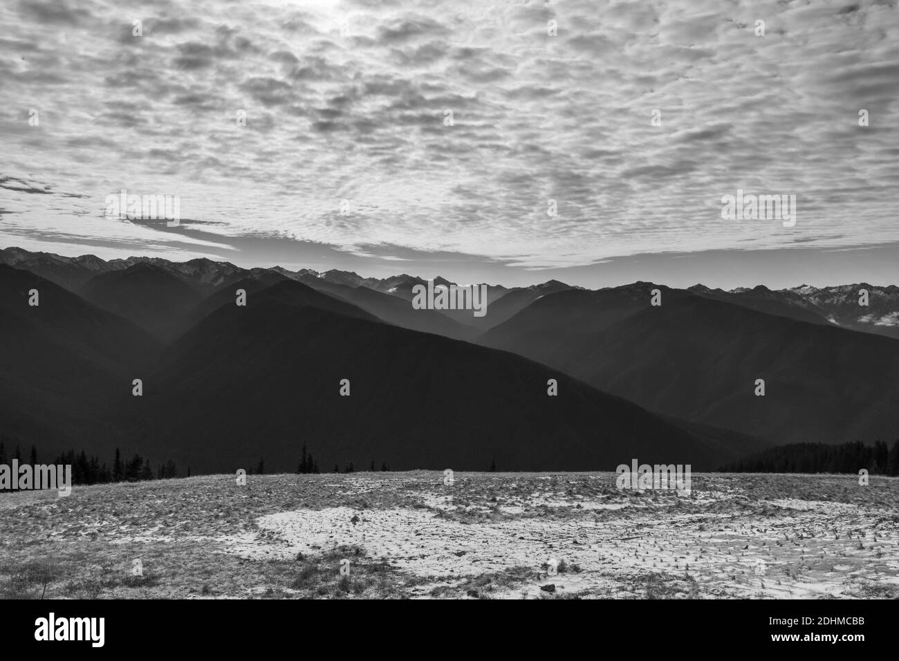Hurricane Ridge, Olympic National Park, Washington Stock Photo - Alamy