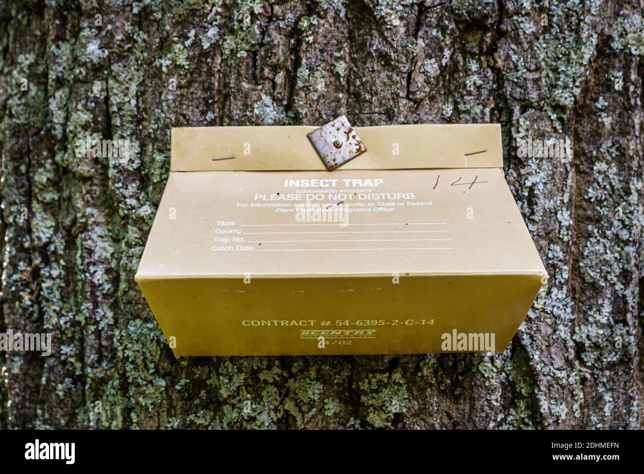 Huntsville Alabama,Monte Sano State Park,insect trap tree trunk Stock ...