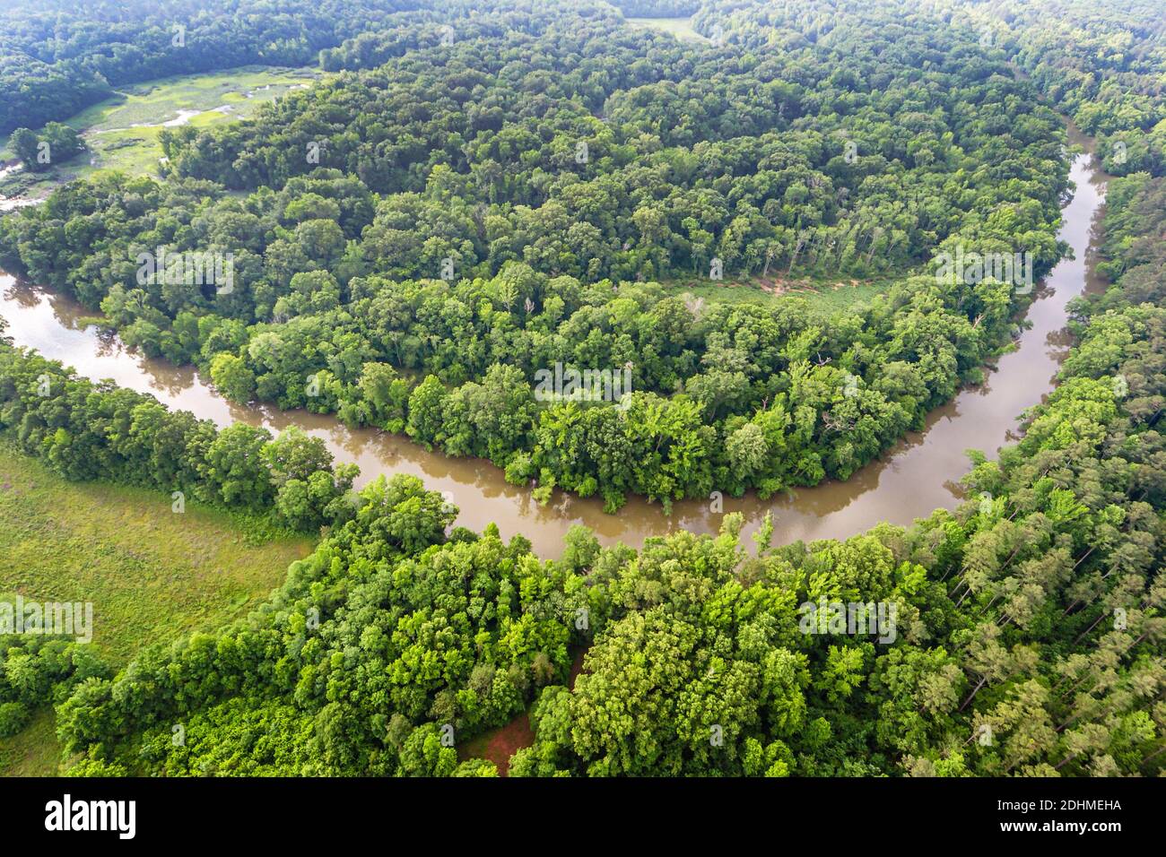Alabama Decatur estuary nature natural scenery forest aerial view Flint ...