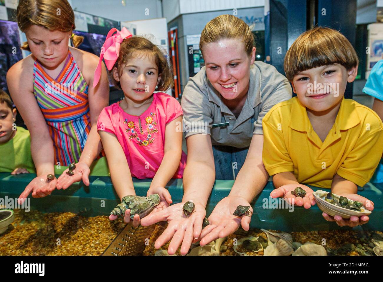 Dauphin Island Sea Lab Images at Carmella Tabor blog