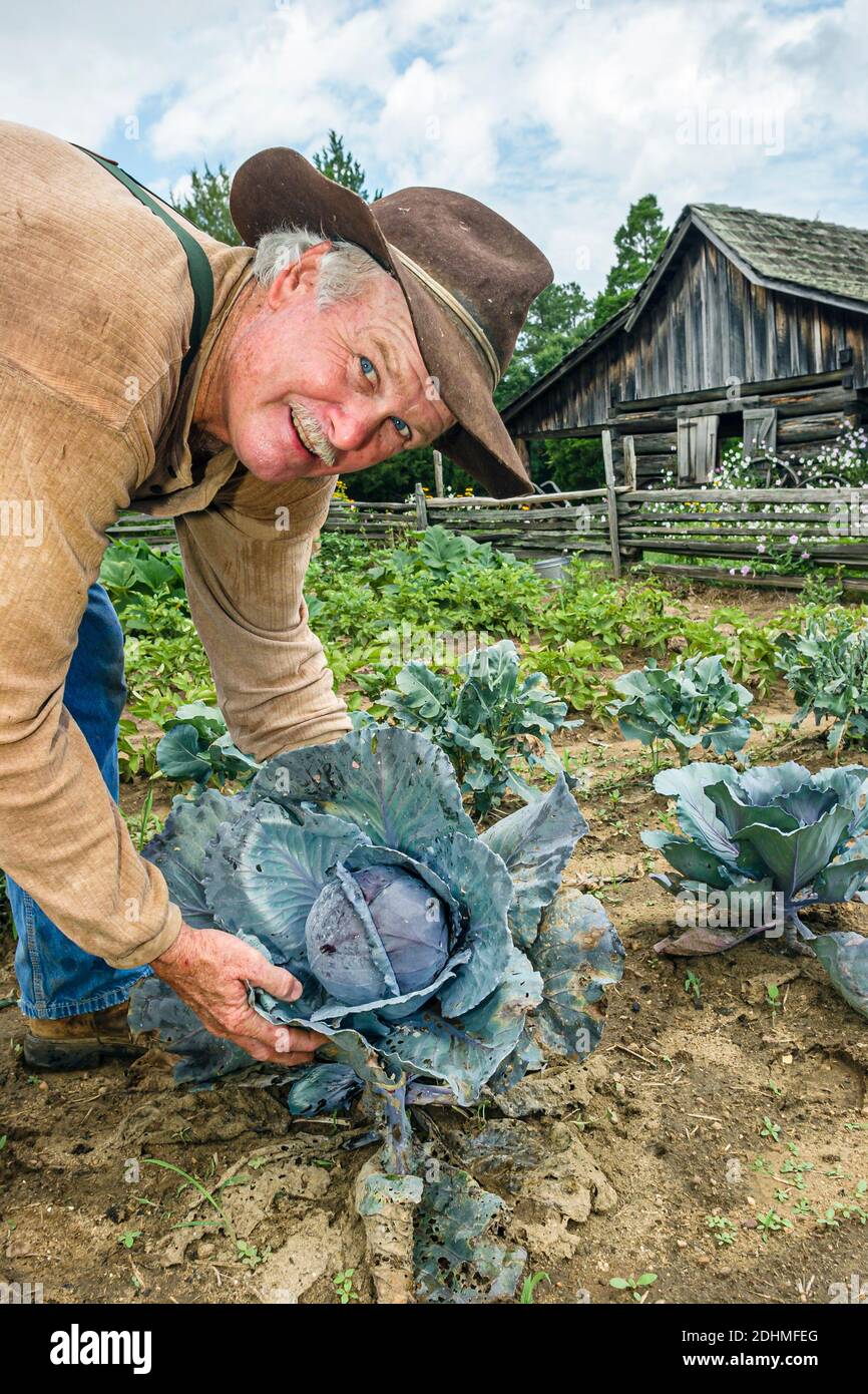 1890s agriculture hi-res stock photography and images - Alamy