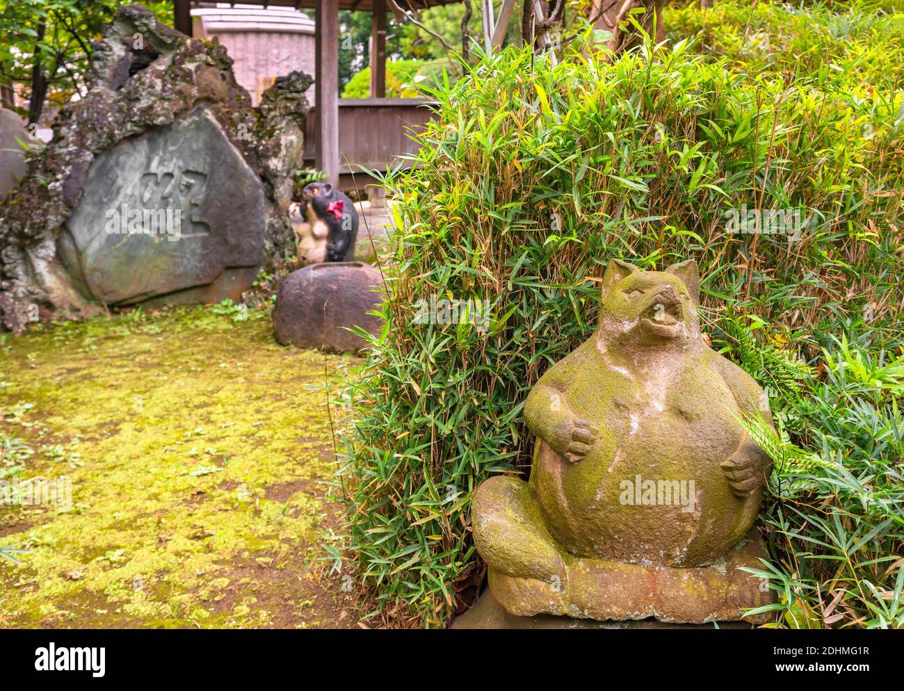 Tanuki statue hi-res stock photography and images - Alamy