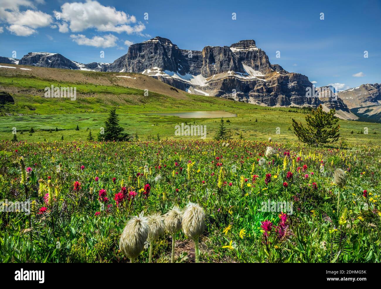 Devon lakes hi-res stock photography and images - Alamy