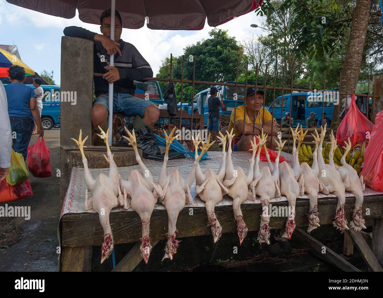 Selling chickens at Selling fruit, spices and vegetables at Tomohon ...