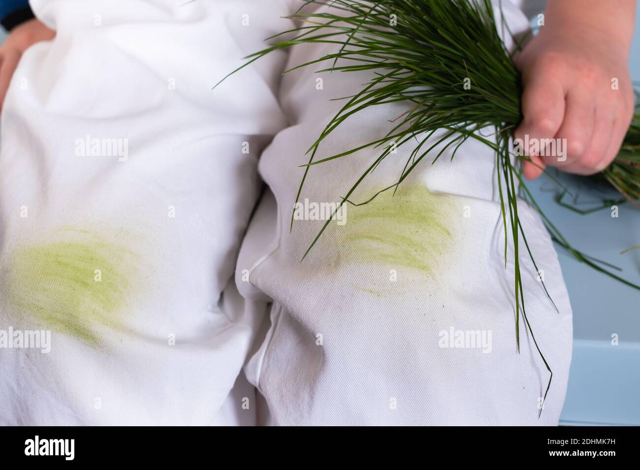 Child's hand holds the grass. dirty grass stains on children's pants ...