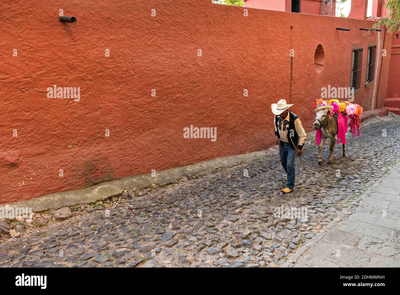 Mexican burro hi-res stock photography and images - Alamy