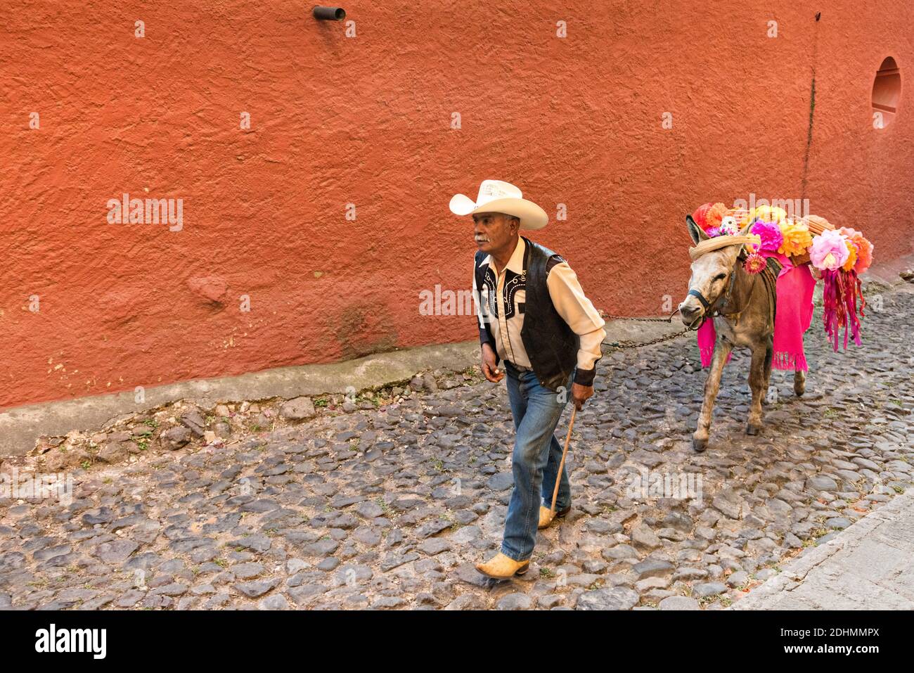 Mexican burro hi-res stock photography and images - Alamy