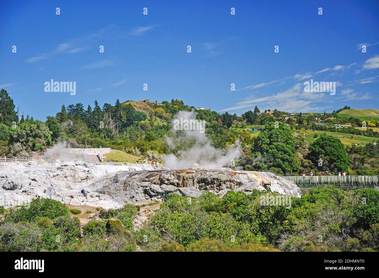 New zealand thermal activity hi-res stock photography and images - Alamy