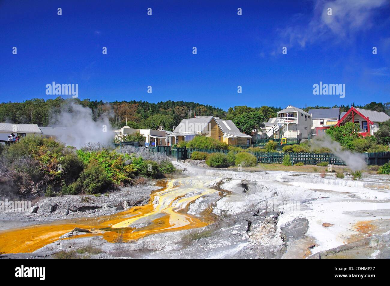 New zealand thermal activity hi-res stock photography and images - Alamy