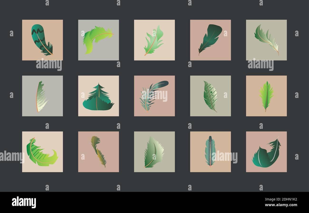 collection of feathers colour green decoration vector illustration ...
