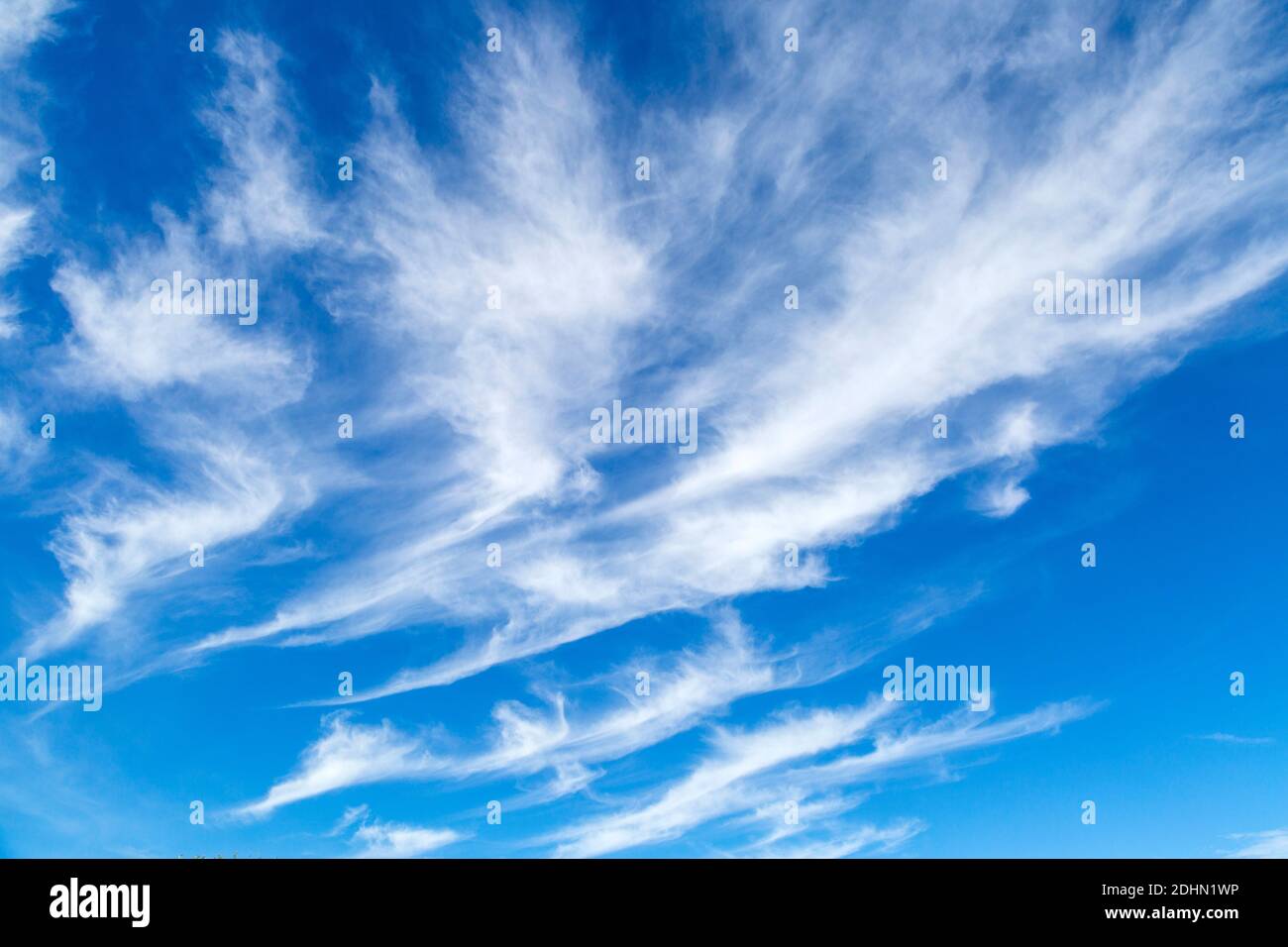 Cirrus clouds are lacy or wispy clouds that form at high altitudes ...