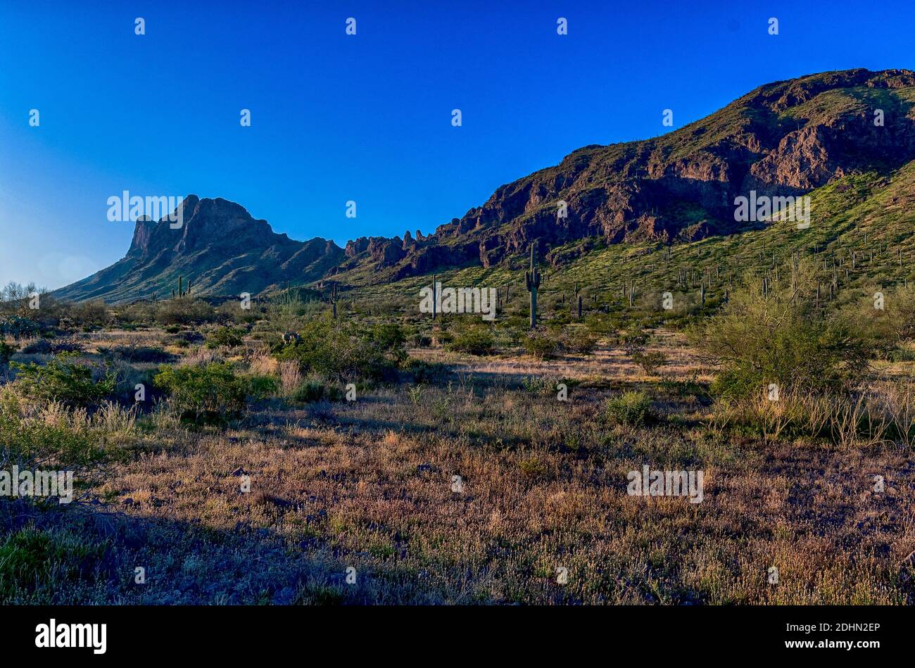 Desert landscape from Picacho Peak State Park (Arizona, USA) in March ...