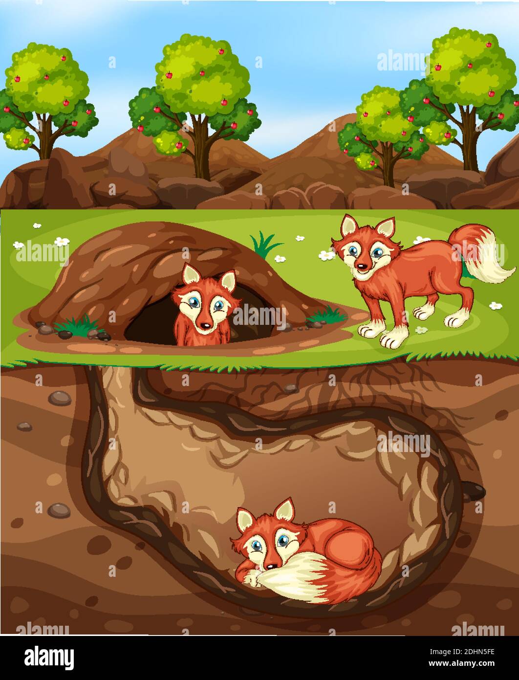 Foxes ground Stock Vector Images - Alamy