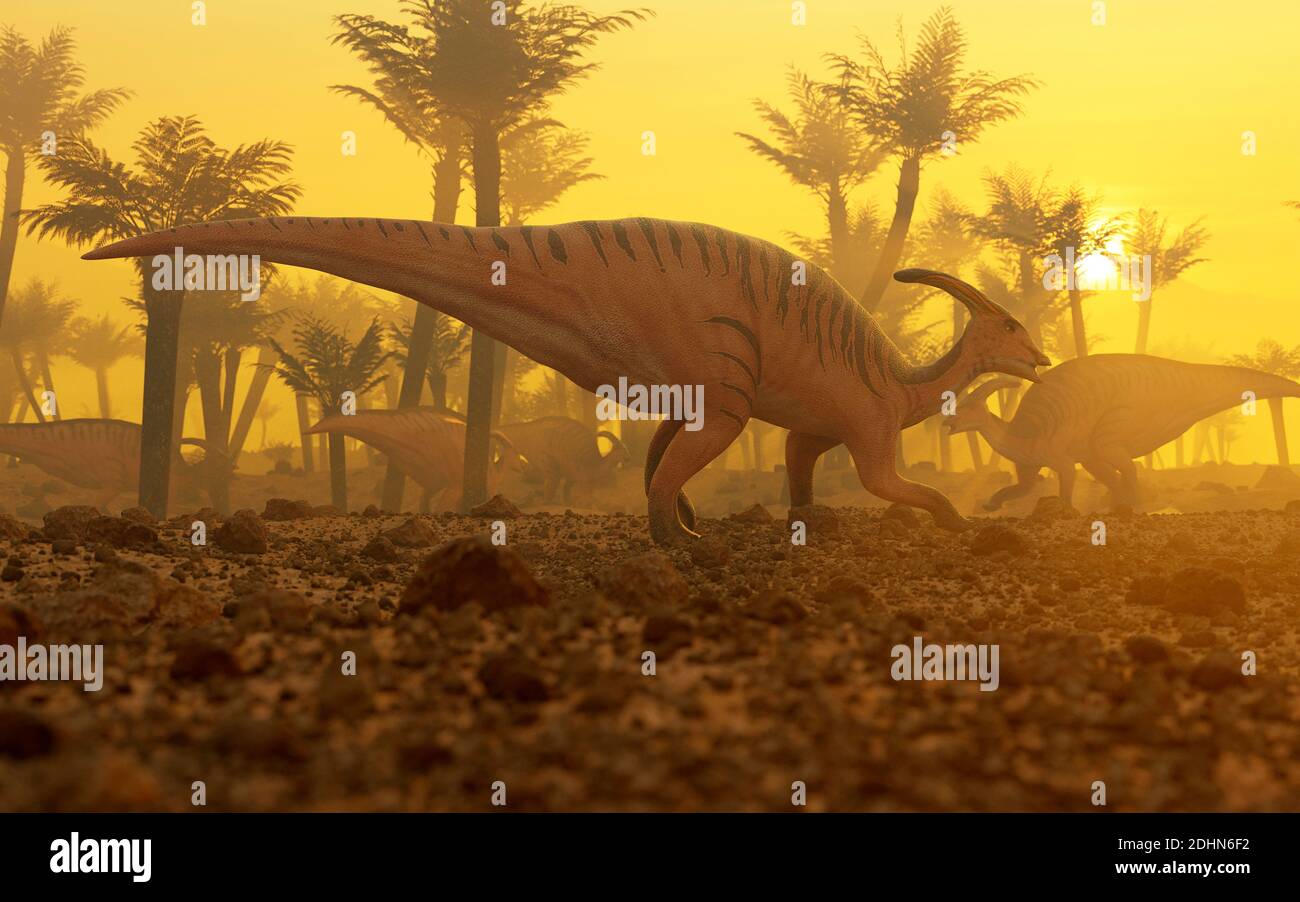 Parasaurolophus ('near-crested lizard'), first described in 1922, was a ...