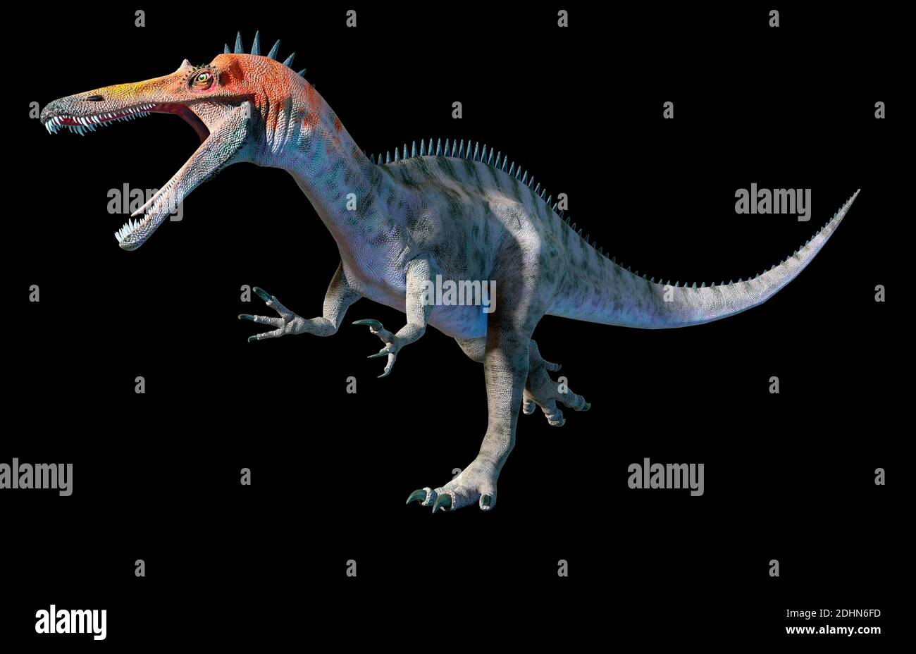 Illustration of a suchomimus dinosaur. This bipedal spinosaurid ...