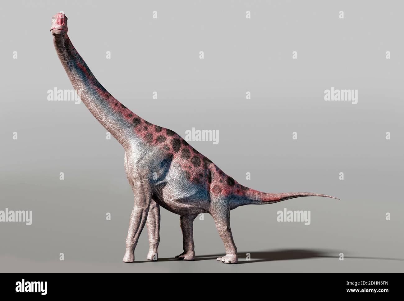 Brachiosaurus Sauropod
