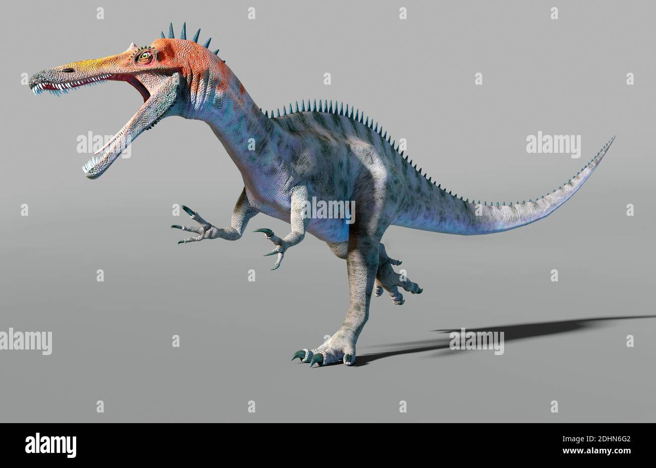 Illustration of a suchomimus dinosaur. This bipedal spinosaurid ...