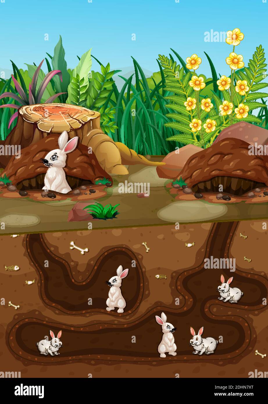 Underground animal hole with many white rabbits illustration Stock ...