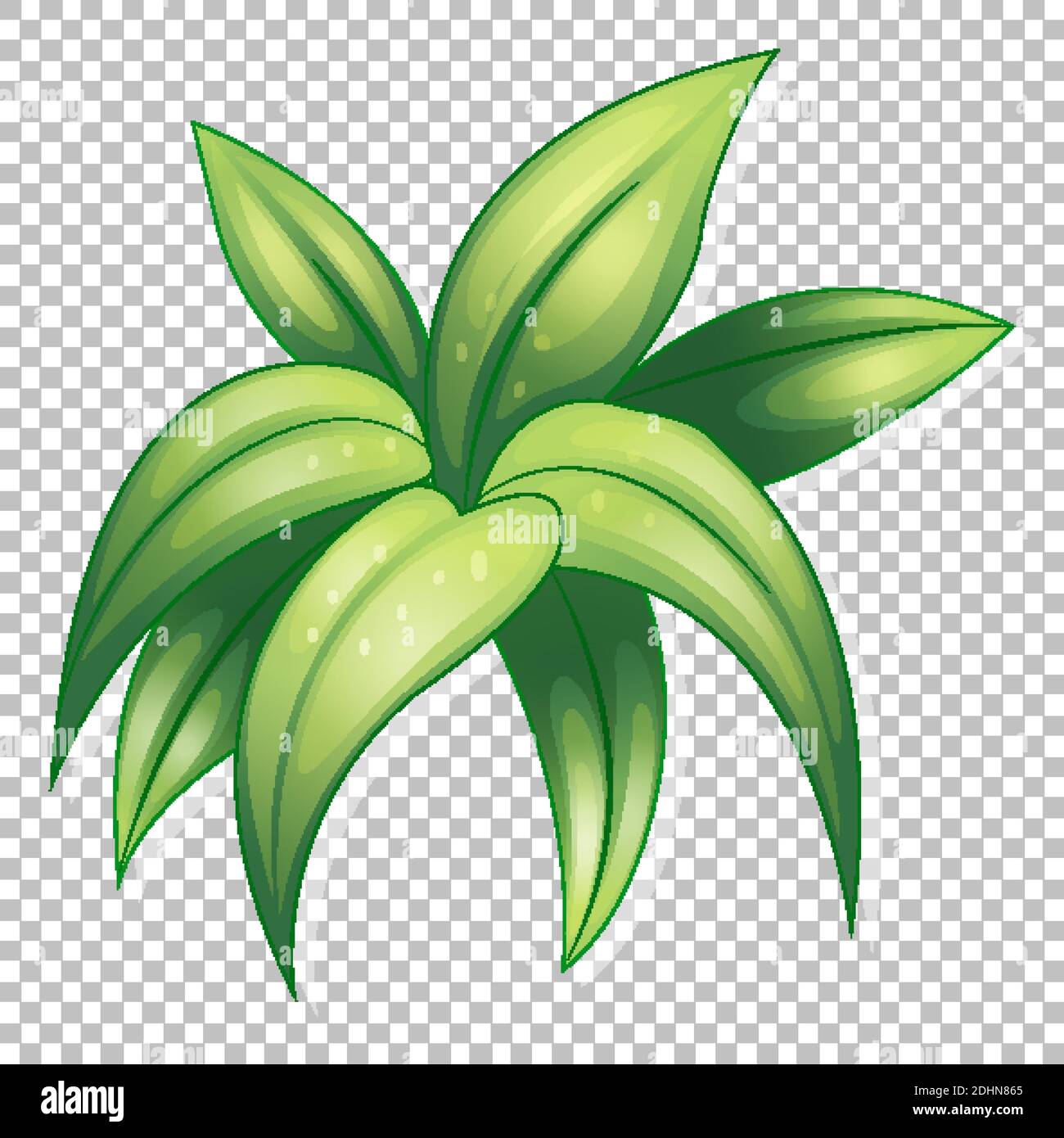 Isolated grass on transparent background illustration Stock Vector ...