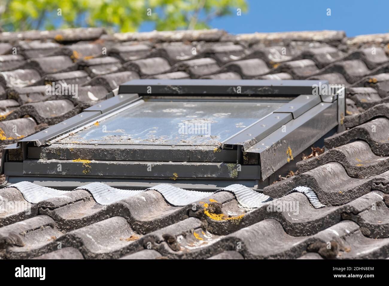 A gray plastic tilting window in the roof. covered with moss and ...