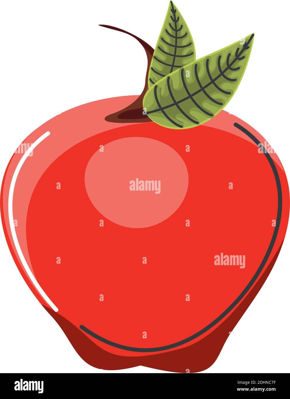 apple fresh fruit harvest nutrition detailed icon vector illustration ...
