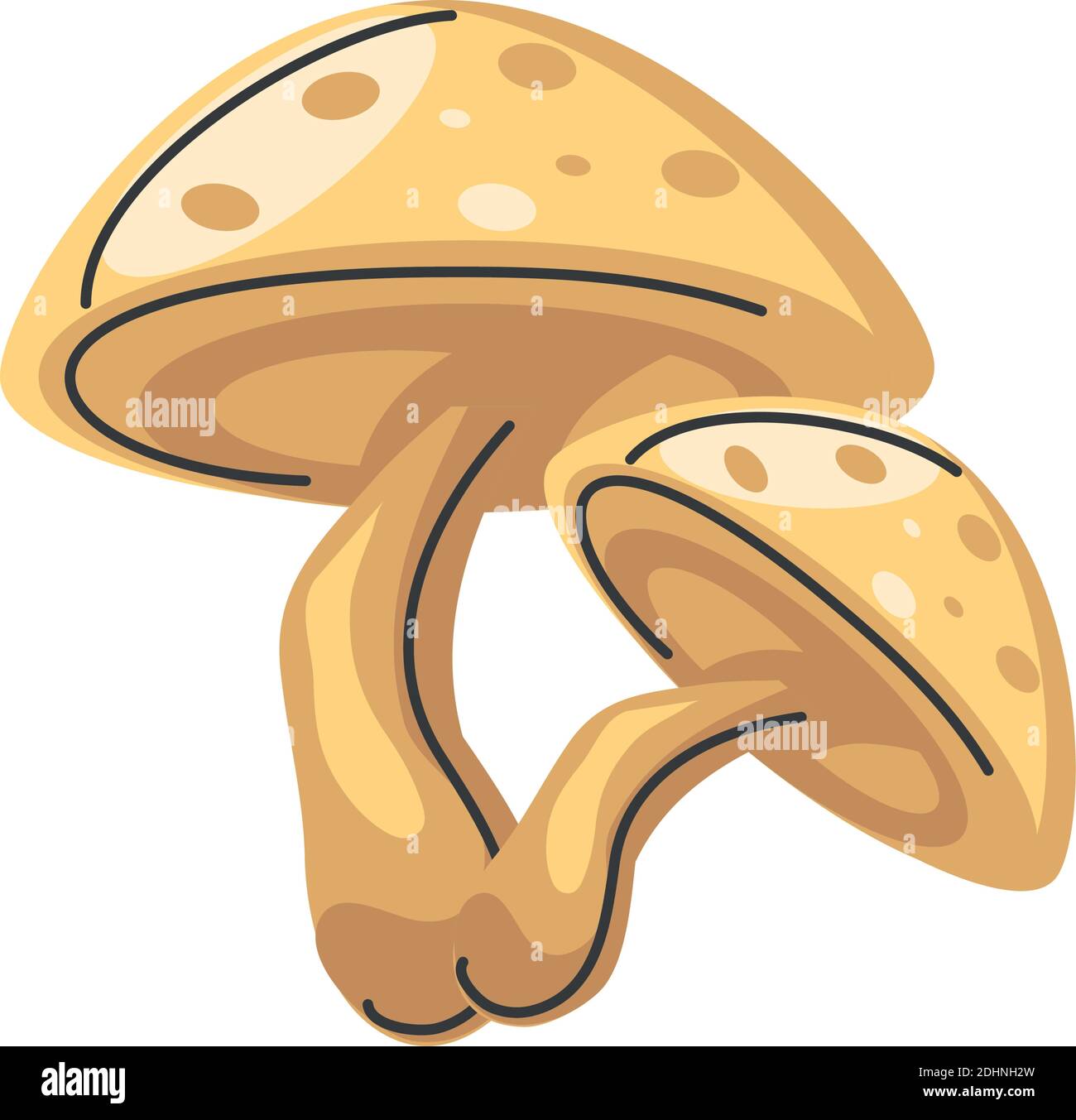 mushroom fresh nature harvest detailed icon vector illustration Stock ...