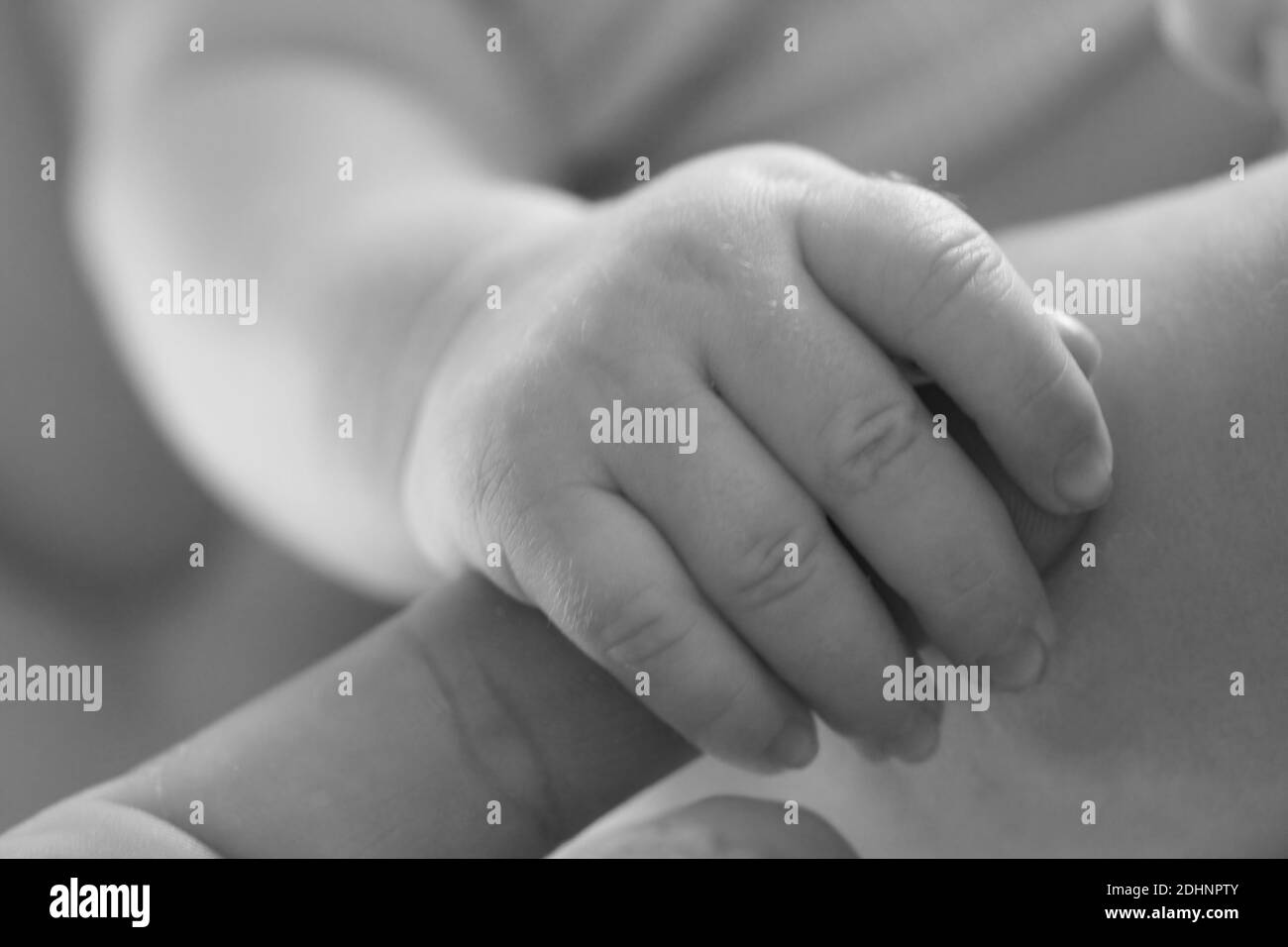 A baby hand grabbing an adult finger Stock Photo - Alamy