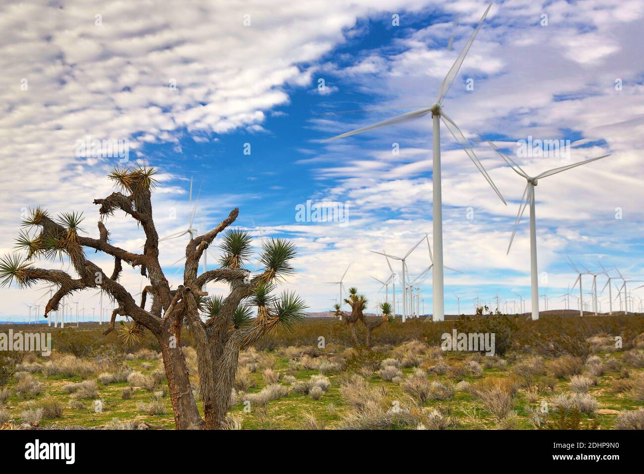Wind Turbines in the Mojave Desert Stock Photo - Alamy