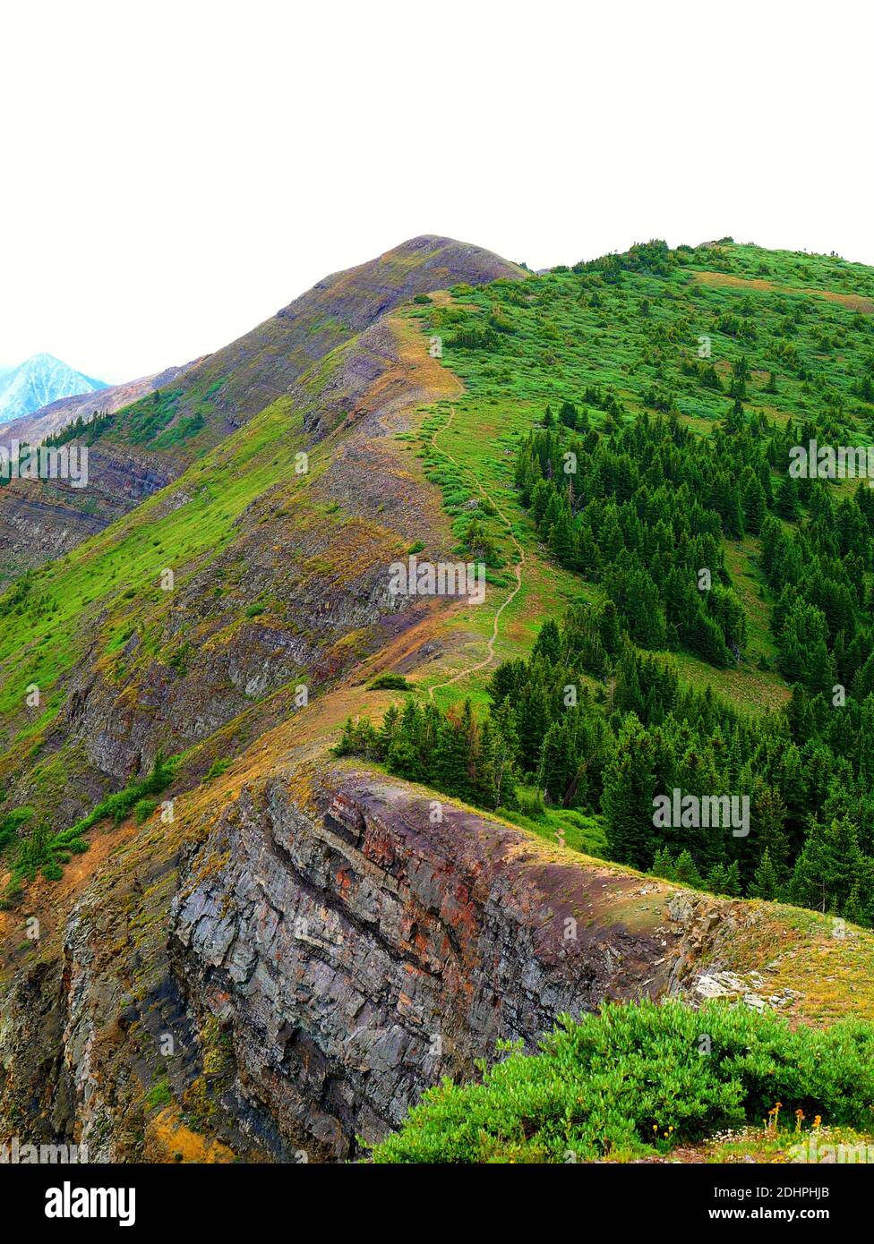 Visit crested butte hi-res stock photography and images - Alamy
