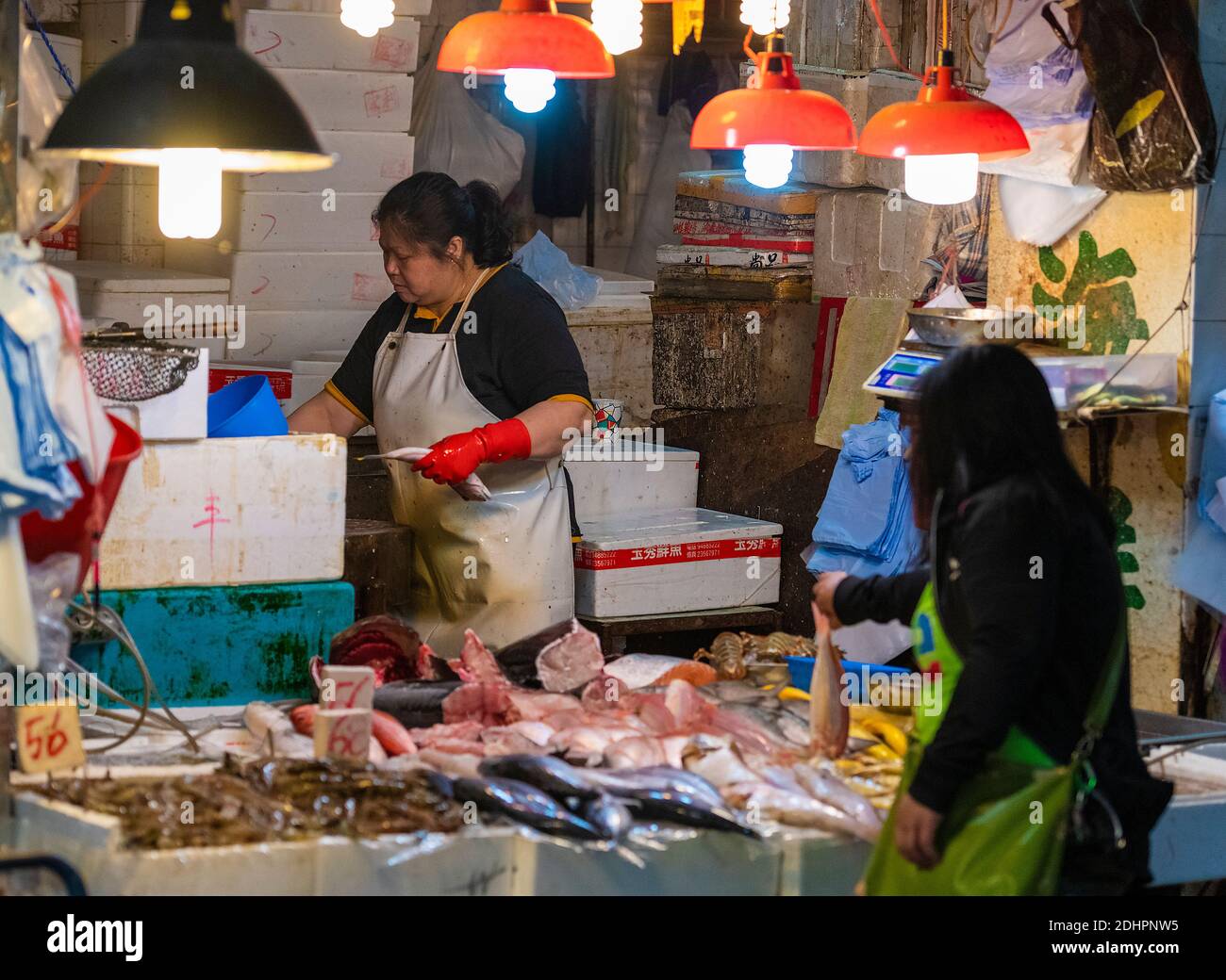 Fish shop at Wan Chai Road, Hong Kong, China Stock Photo - Alamy