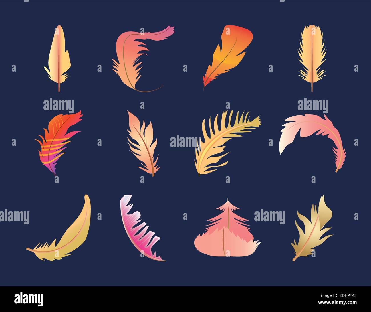 set of feathers various motif and shapes decoration vector illustration ...