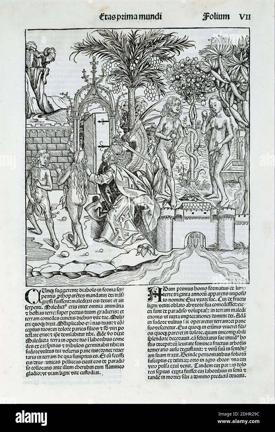 Wolgemut Michael High Resolution Stock Photography and Images - Alamy