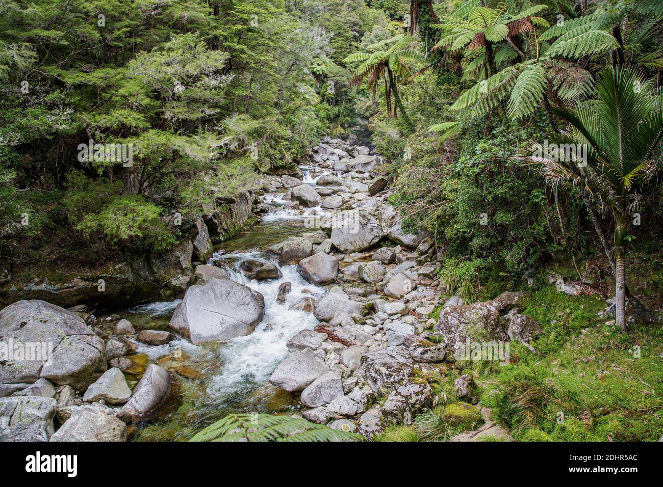 Wainui waterfall, Golden Bay, Nelson, Tasman, New Zealand, Saturday ...