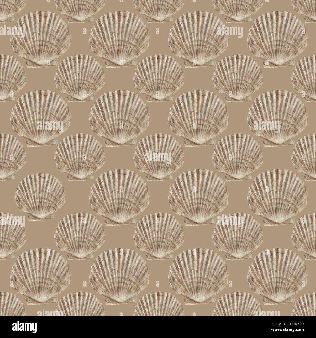 Vintage regular seamless pattern with watercolor painted sea shells on ...