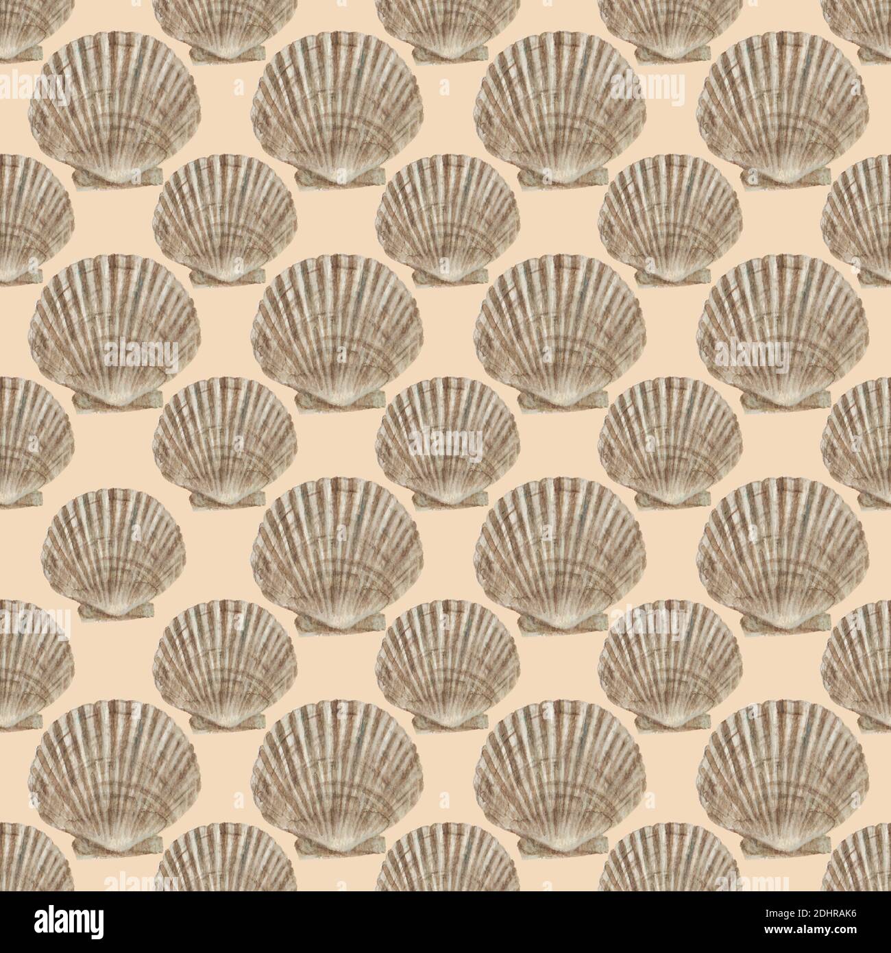 Seashells pastel painting hi-res stock photography and images - Alamy