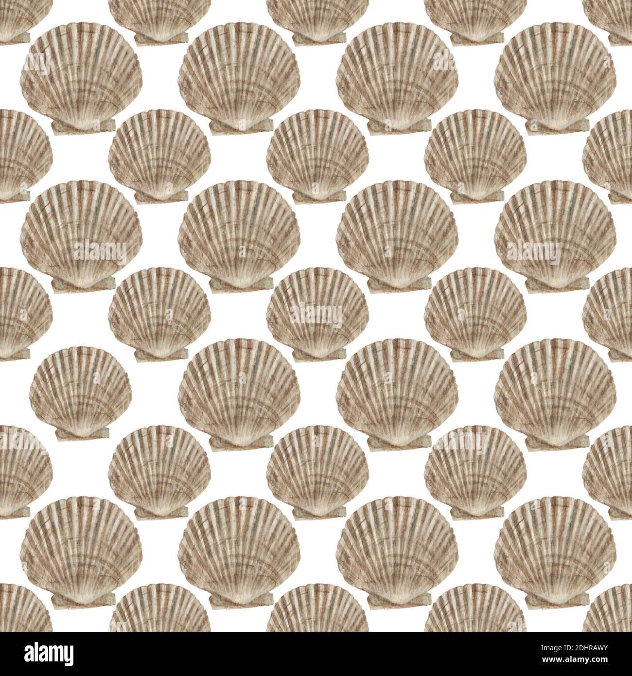 Vintage regular seamless pattern with watercolor painted sea shells on ...
