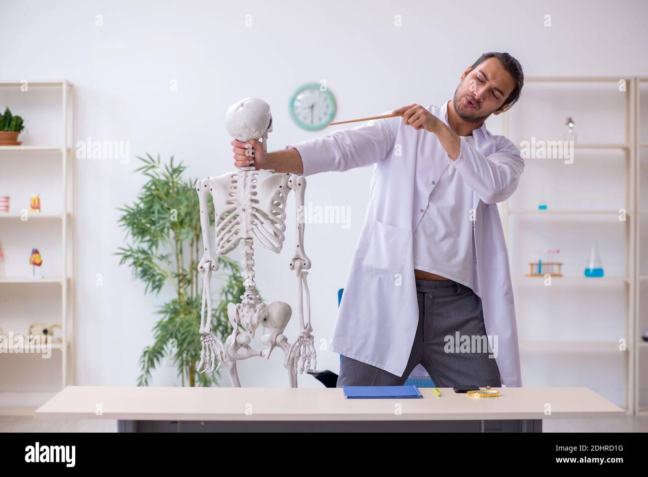 Young doctor demonstrating human skeleton Stock Photo - Alamy