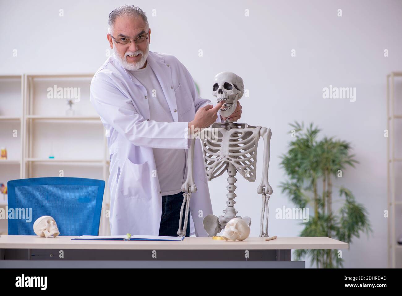 Old anatomy teacher demonstrating human skeleton Stock Photo - Alamy