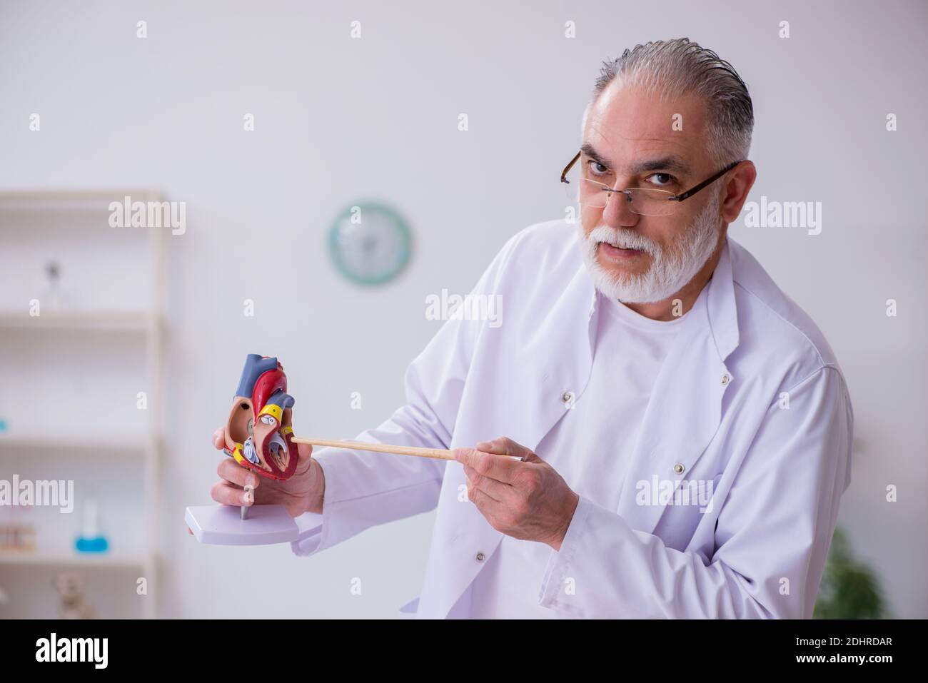 Old cardiologist explaining human heart structure Stock Photo - Alamy