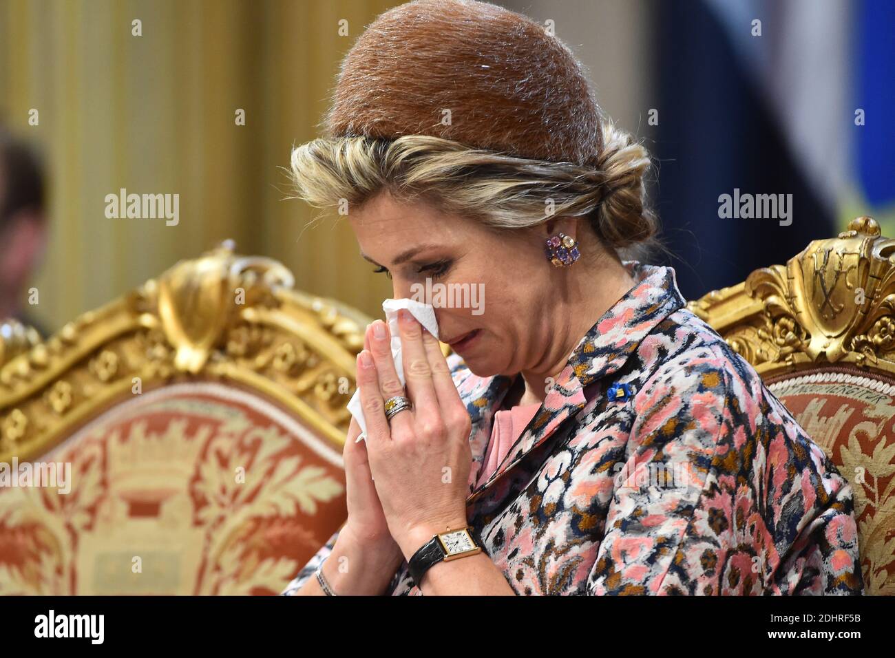Queen Maxima of the Netherlands during a reception hosted by Paris ...
