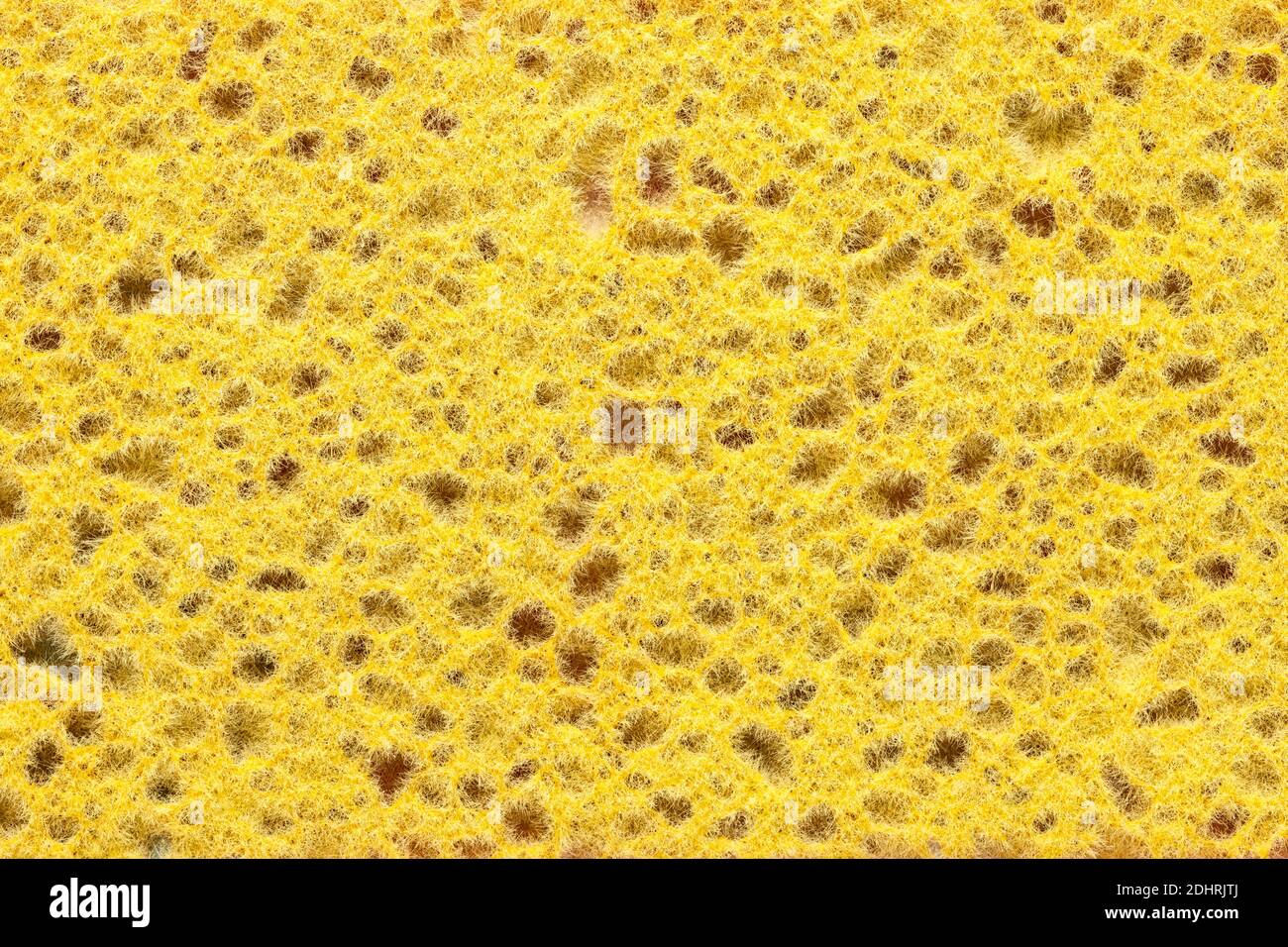 Sponge texture hi-res stock photography and images - Alamy