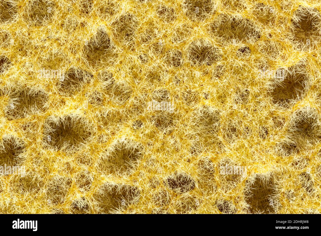 Sponge texture hi-res stock photography and images - Alamy