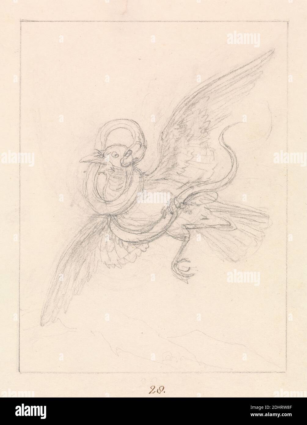 Raven and Snake, Samuel Howitt, 1756–1822, British, ca. 1813, Graphite ...