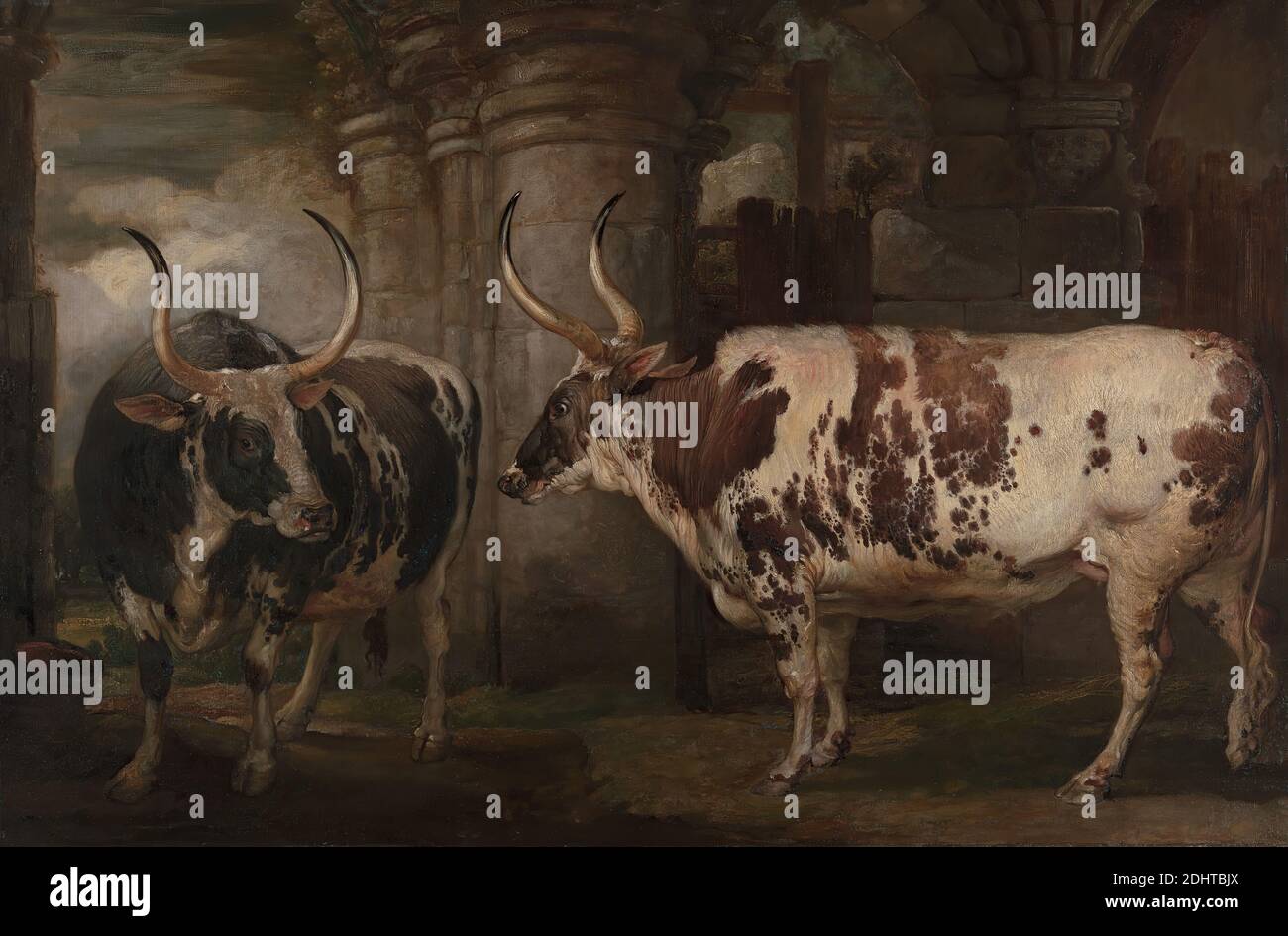 Obese animals hi-res stock photography and images - Alamy